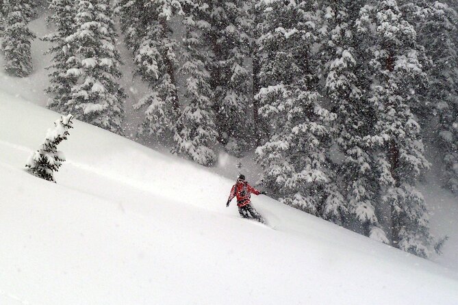 Telluride Guided Backcountry Skiing - Key Points