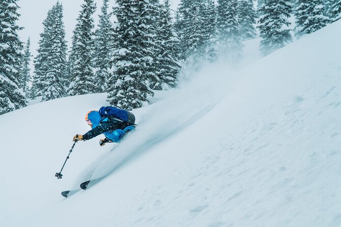 Telluride Guided Backcountry Skiing - Who Is This Tour Best For?