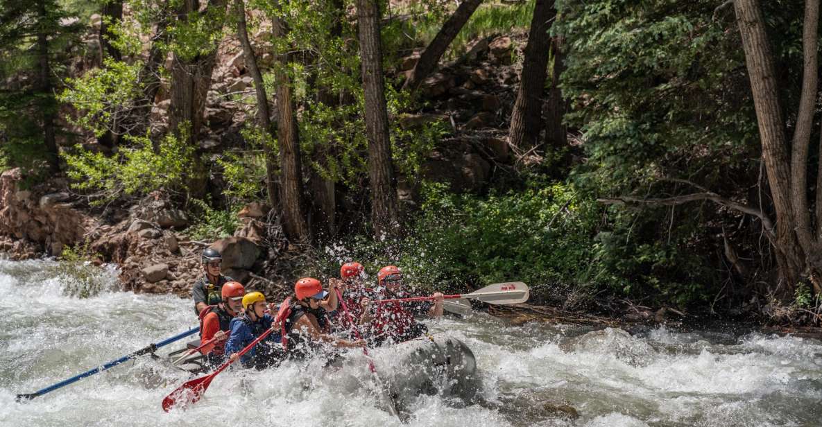 Telluride Morning Half Day Rafting Trip - San Miguel River - Key Points