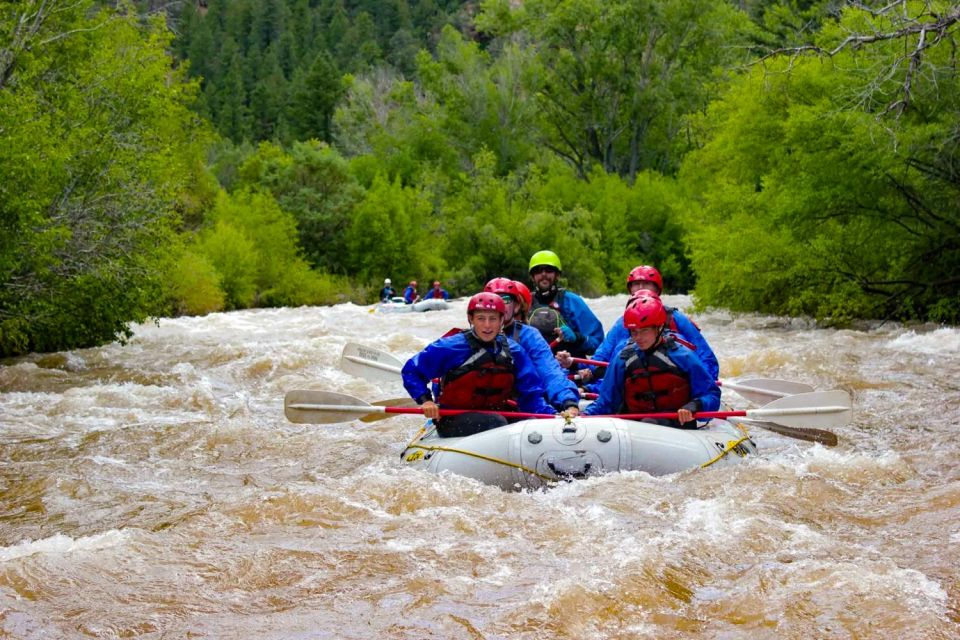 Telluride Morning Half Day Rafting Trip - San Miguel River - What To Bring