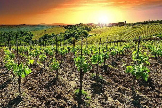 Temecula Wine Country Tour from San Diego - The Itinerary in Detail