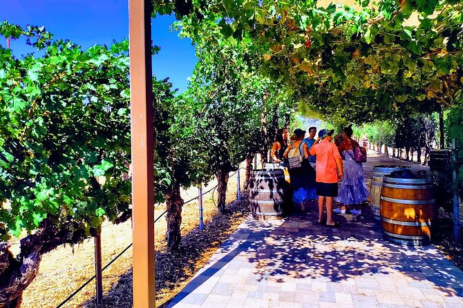Temecula Wine Tour from Los Angeles - Who Will Love This Tour?  