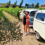 Temecula Wine Tour - The Ultimate California Experience - What’s Not Included and Considerations