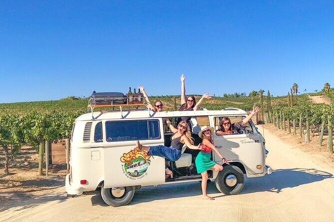 Temecula Wine Tour - The Ultimate California Experience - Final Thoughts: Who Will Love This Tour?