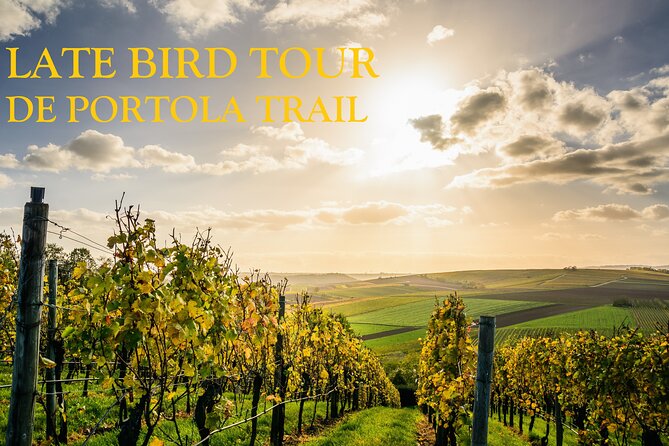 Temecula's Premier Wine Tasting Tour - What’s Included and What to Consider