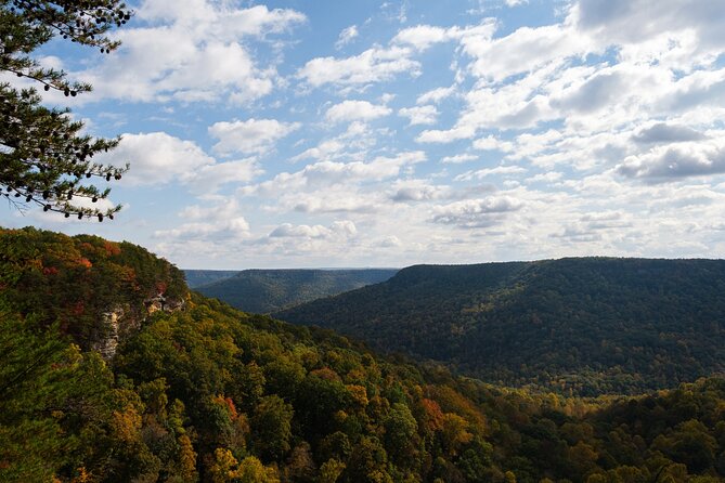 Tennessee Fall Colors Hiking Tour - Practical Details for Travelers