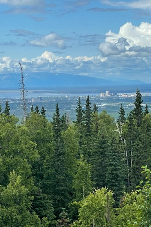 Tent city Anchorage and wonderful surroundings - The Highlights & Why They Matter