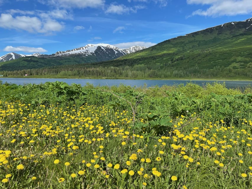 Tent city Anchorage and wonderful surroundings - FAQ