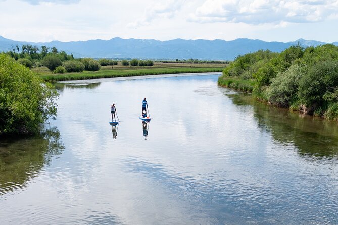 Teton River Paddleboard Adventure - 4.5 Miles - The Value of the Experience