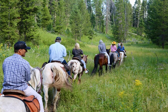 Teton View Horse Riding with Lunch - The Sum Up