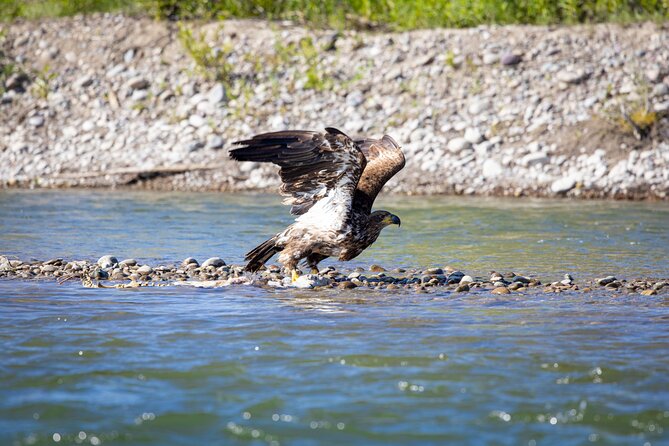 Tetons and Snake River Scenic Float Trip In Jackson Hole - How Does It Compare to Other Experiences?