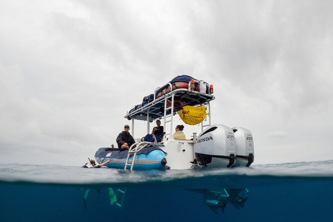 The Best 2 Hour Molokini Express Snorkeling - Exploring the Best 2 Hour Molokini Express Snorkeling Tour