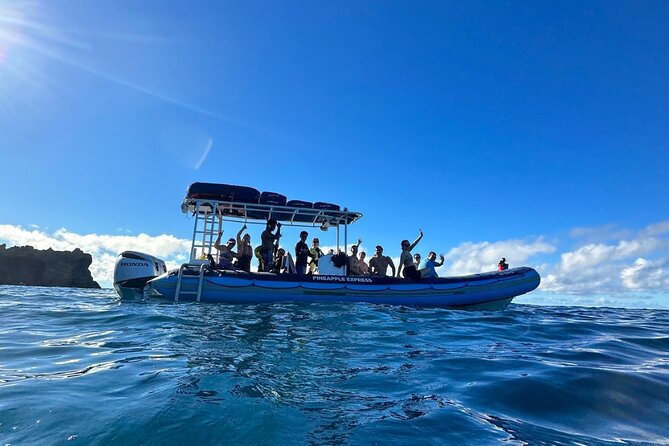 The Best 2 Hour Molokini Express Snorkeling - Comparing Cost and Value
