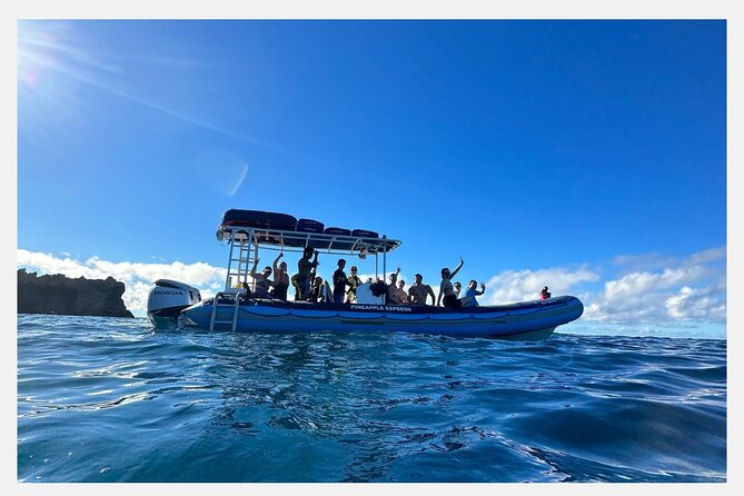 The Best 8 am 1.5 Hour Whale Watching Tour - Who Will Love This Experience?