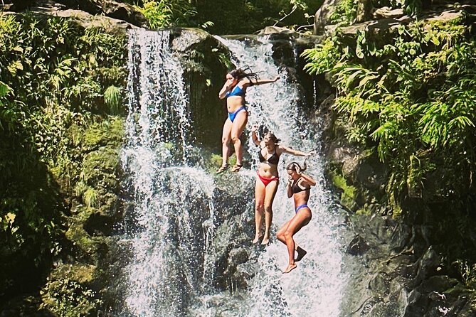 The best half day of your life! Luxury Road to Hana private tour - Exploring the Itinerary: What to Expect from Start to Finish