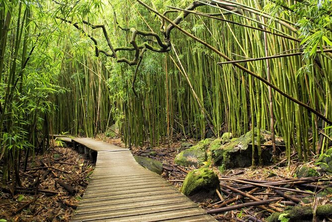 The best half day of your life! Luxury Road to Hana private tour - Why This Tour Shines