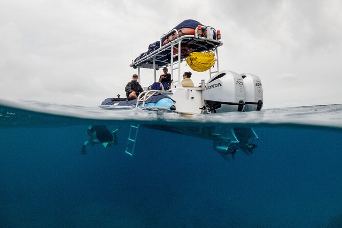 The Best Maui 3 Hour Molokini and Turtle Town Snorkel - FAQs