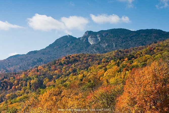 The Best of Asheville: Private 2.5-hour Walking Tour - Why This Tour Stands Out