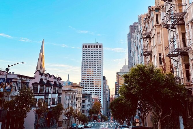 The Best of San Francisco: Private Half-Day Walking Tour - What the Tour Offers: An In-Depth Breakdown