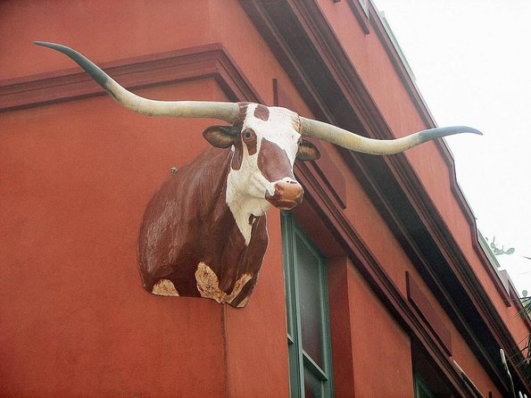 The Buckhorn Saloon & Museum and Texas Ranger Museum Admission - Introduction