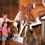 The Buckhorn Saloon & Museum and Texas Ranger Museum Admission - Exploring the Buckhorn Saloon & Museum