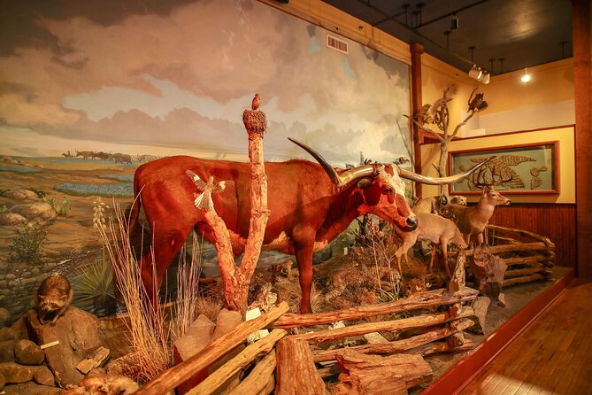 The Buckhorn Saloon & Museum and Texas Ranger Museum Admission - FAQ