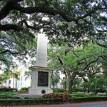 The Bull Street Experience - Practical Tips for Travelers