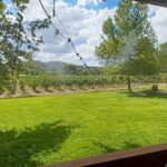 The Classic Sedona Wine Tour - The Sum Up