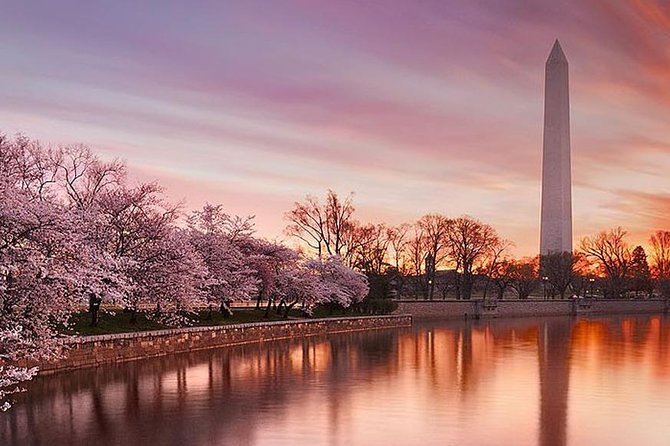 The DC Cherry Blossom Tour - Overview of the DC Cherry Blossom Tour