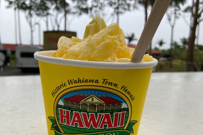"The Dole Plantation" & "North Shore" Private Limousine VIP Tour! - A Detailed Look at the Tour Experience