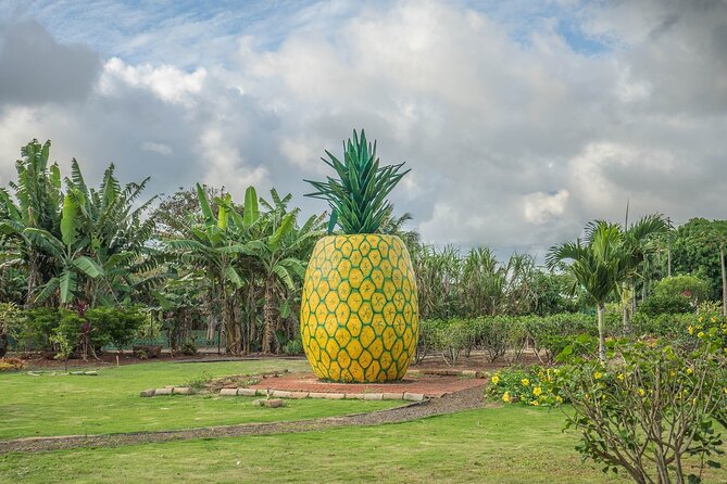 "The Dole Plantation" & "North Shore" Private Limousine VIP Tour! - Authentic Insights from Reviewers