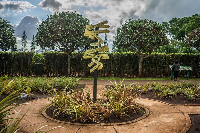 "The Dole Plantation" & "North Shore" Private Limousine VIP Tour! - Who Should Book This Tour?