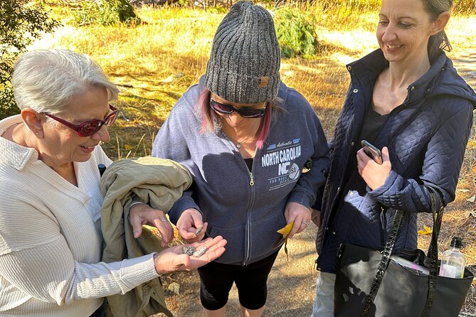 The Evolution of Yosemite 3 Hour Hiking Tour - Final Thoughts
