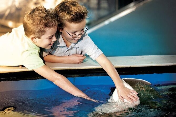 The Florida Aquarium in Tampa General Admission - The Day at the Aquarium: A Close Look at the Itinerary