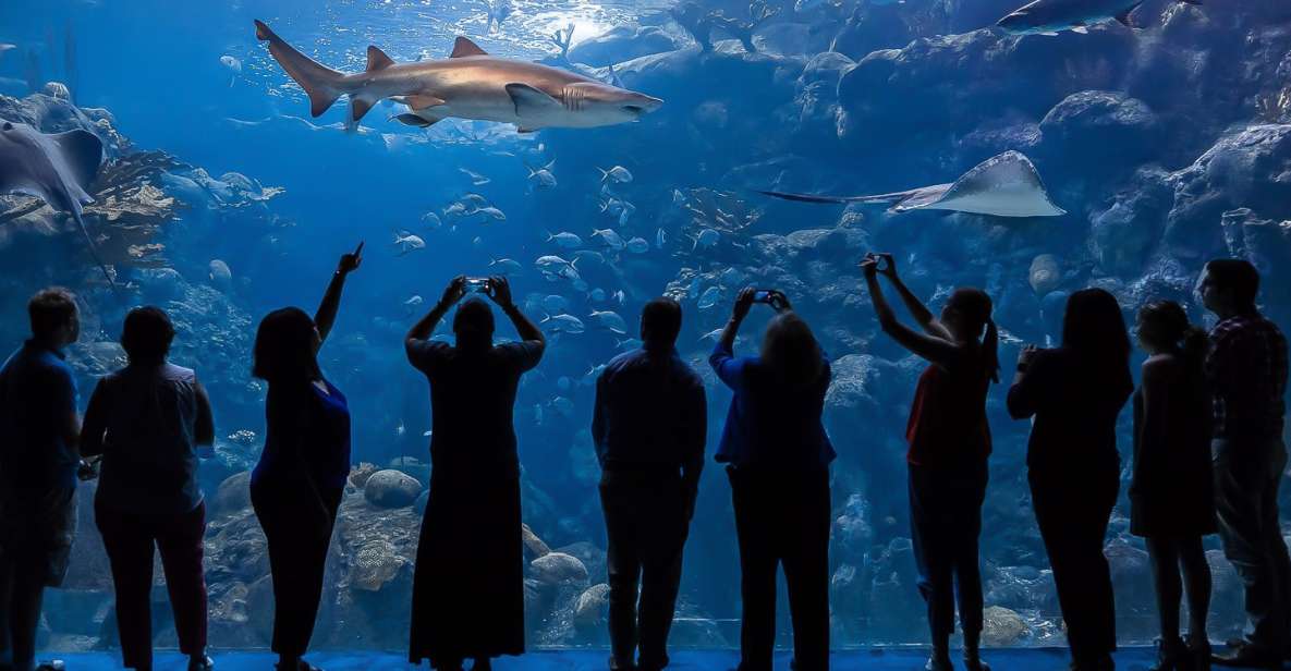 The Florida Aquarium Ticket - The Experience: From Entry to Exit