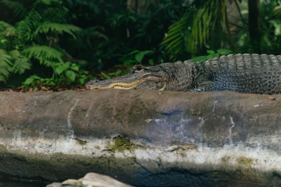 The Florida Aquarium Ticket - Why You Should Consider This Experience
