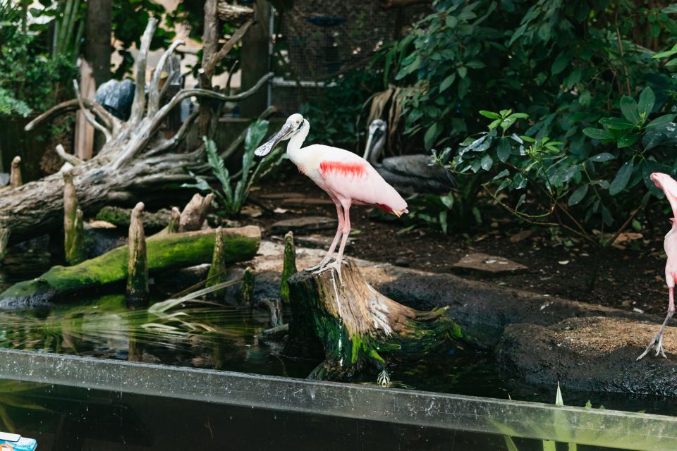 The Florida Aquarium Ticket - Final Thoughts