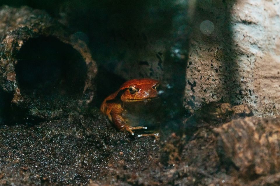 The Florida Aquarium Ticket - FAQ