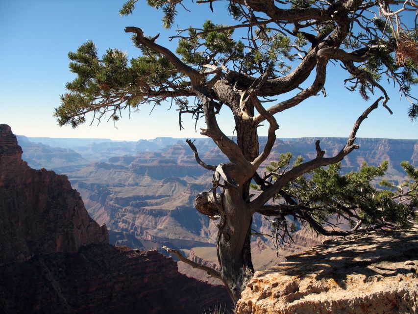 The Grand Canyon Classic Tour From Sedona, AZ - What We Love About the Tour