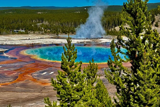 The Grand Yellowstone 3 day private experience from Cody Wyoming - The Value of This Tour