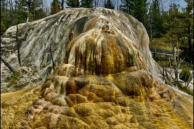 The Grand Yellowstone 3 day private experience from Cody Wyoming - Final Thoughts