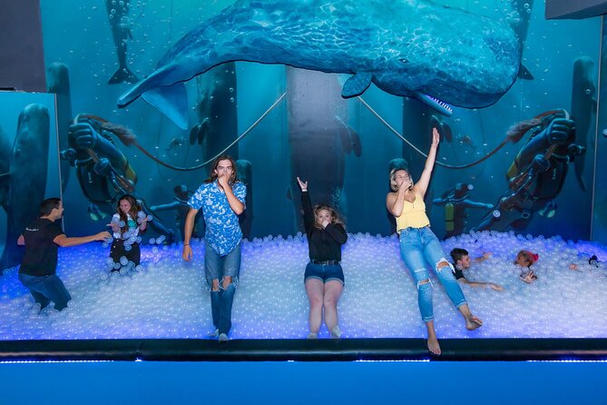 The Lonely Dog Immersive Experience in Orlando - Practical Tips for Visitors