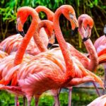 The Miami Sightseeing Day Pass: 35+ Sun-Soaked Attractions & Tours - What Does the Pass Get You? Analyzing the Value