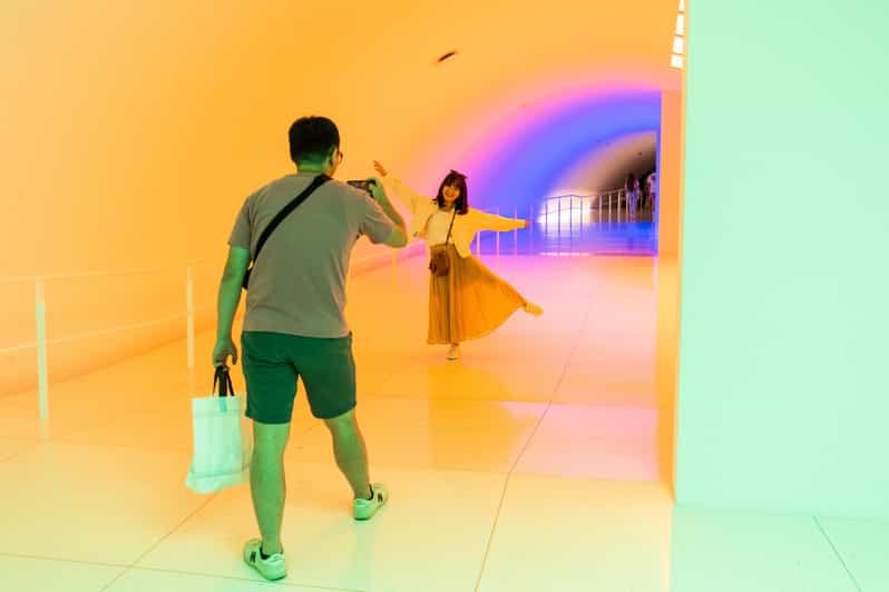 The Museum of Fine Arts, Houston Entry Ticket - An Introduction to the Houston Museum of Fine Arts