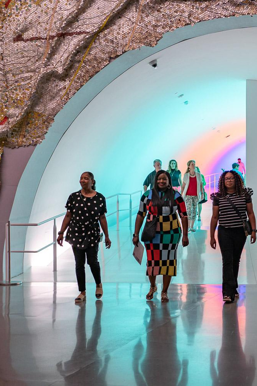 The Museum of Fine Arts, Houston Entry Ticket - Practical Tips for Visiting