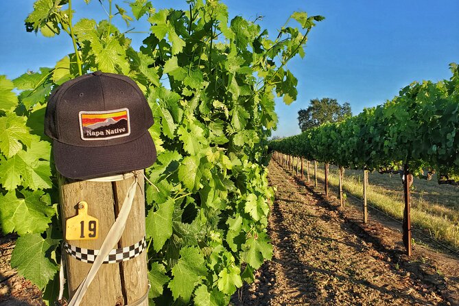 The Napa Native Experience - Overview of the Experience