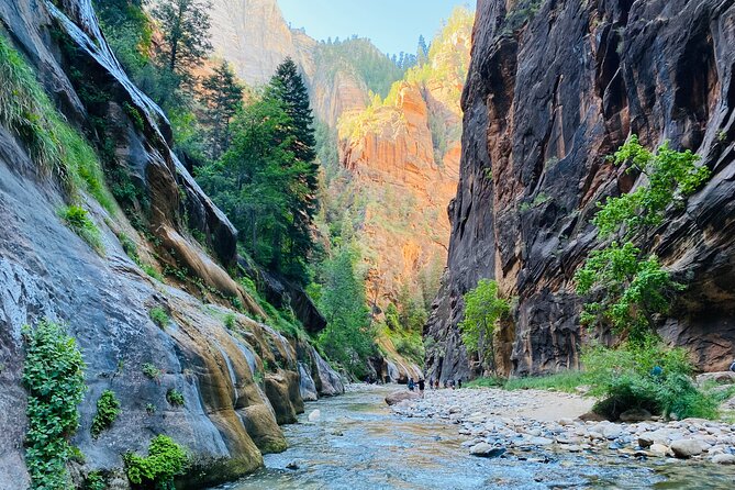 The Narrows: Zion National Park Private Guided Hike - Why Choose a Private Guided Experience?