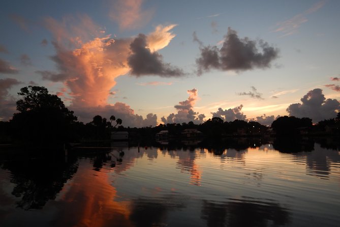 The 'OG' Manatee Snorkel Tour with In-Water Guide/Photographer - Final Thoughts: Is It Worth It?