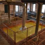The Old Taylor Tour and Lunch Cruise - Practical Details You Should Know