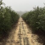 The Olive Grove Tour - The Sum Up: Who Should Consider This Tour?